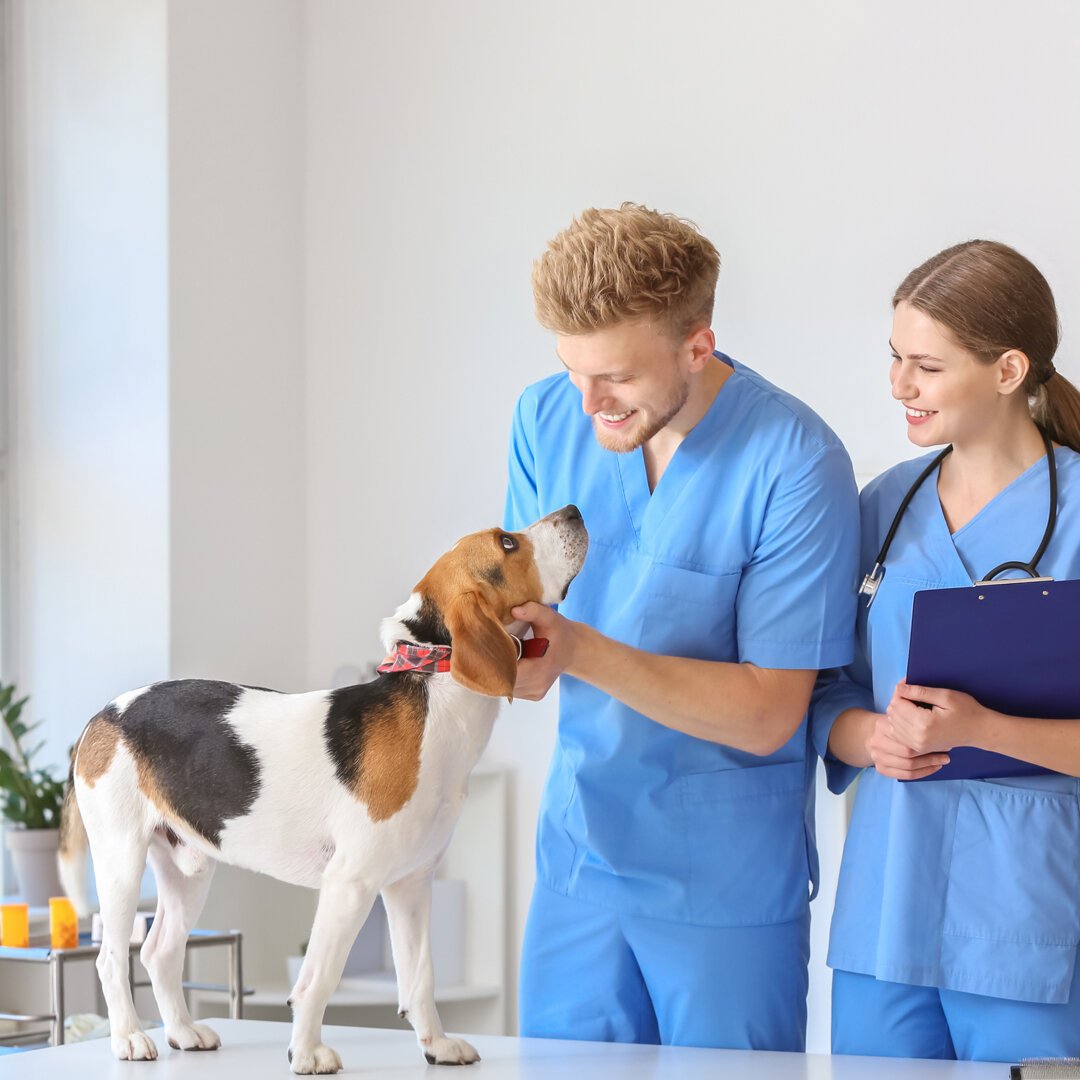 CoreVu — Core Imaging